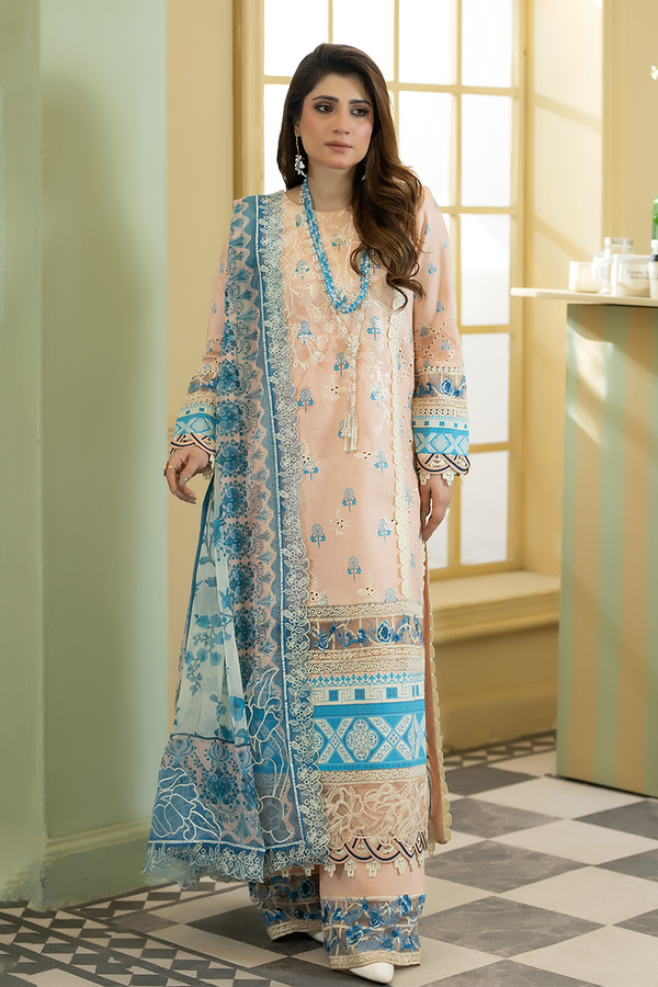 New Arrivals – Raeesa Premium